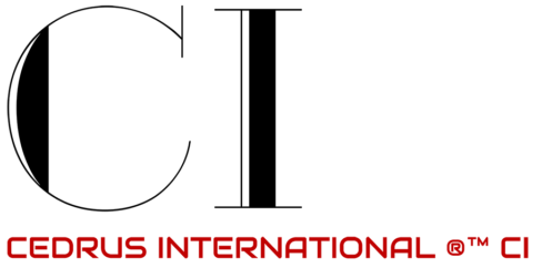 3D LED Facades Outdoor Screens in Saudi Arabia by CI - Riyadh